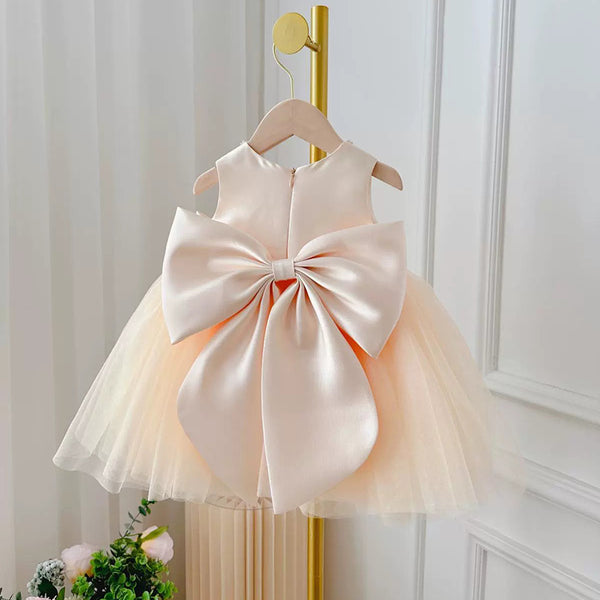 Cute Baby Girl New Season Champagne Dress Toddler Pageant First Commu ...