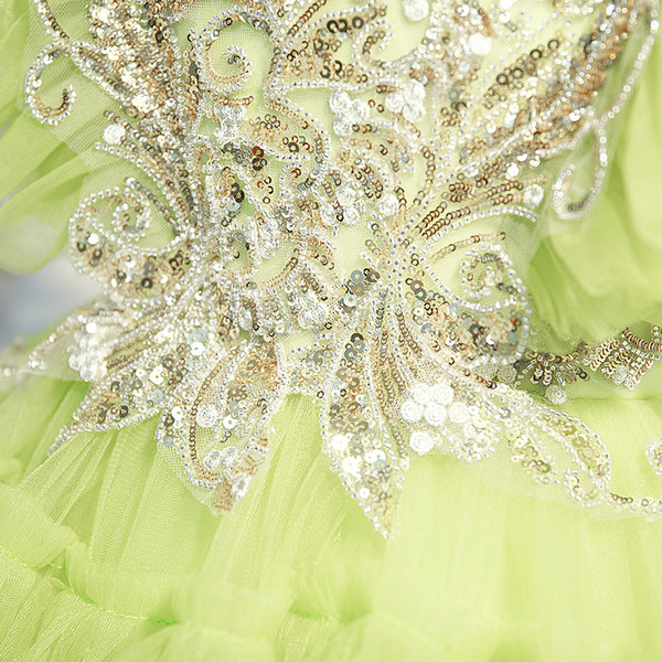 Flower Girl Dress Little Girl Easter Dress Pageant Costumes Wedding Pr ...